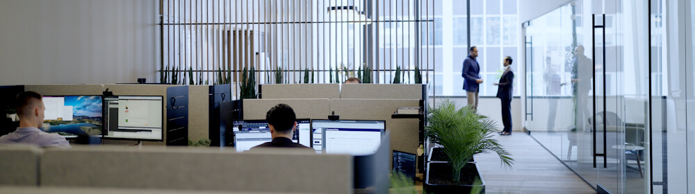 For Intermediaries: Private Equity Investing in Software Companies